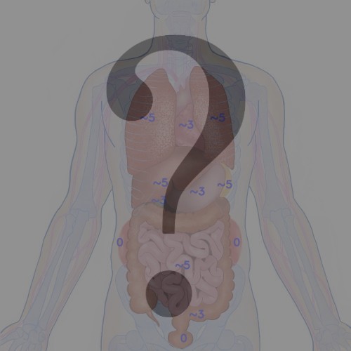 iSCIM | Five Elements